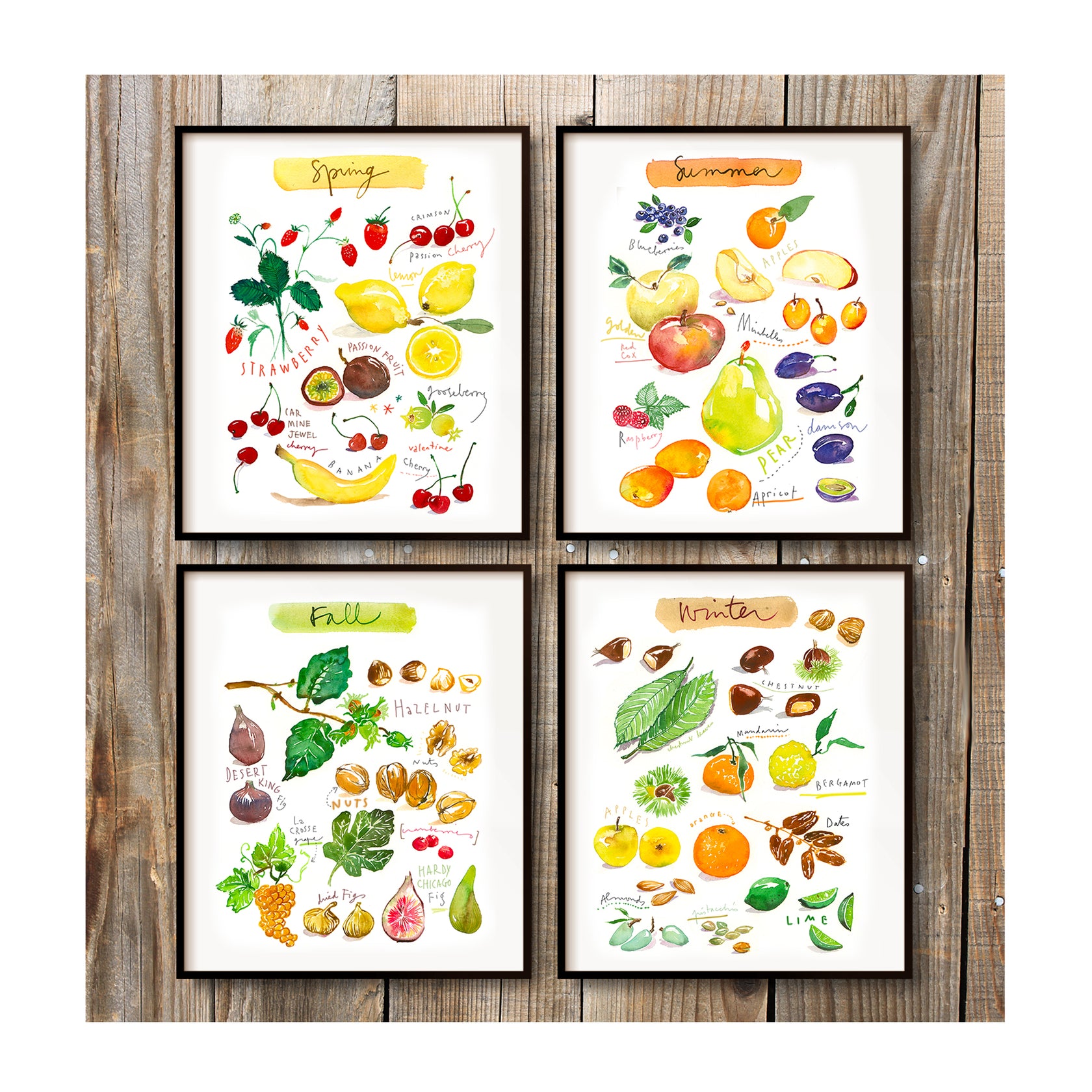 Seasonal Fruit print set Watercolor illustration posters – LucilesKitchen